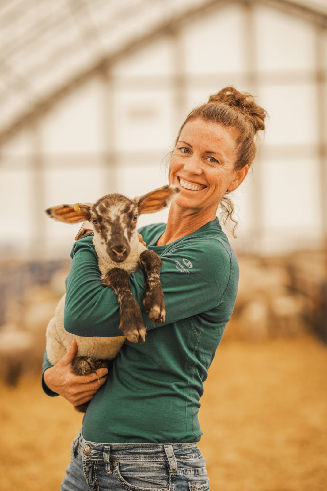 Shear Determination with Sandi Brock from Sheepishly Me - Trailblazher ...