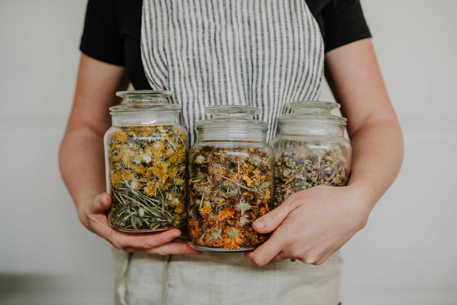 5 Foraging Basics For Beginners - Trailblazher Co | Rural-rooted ...